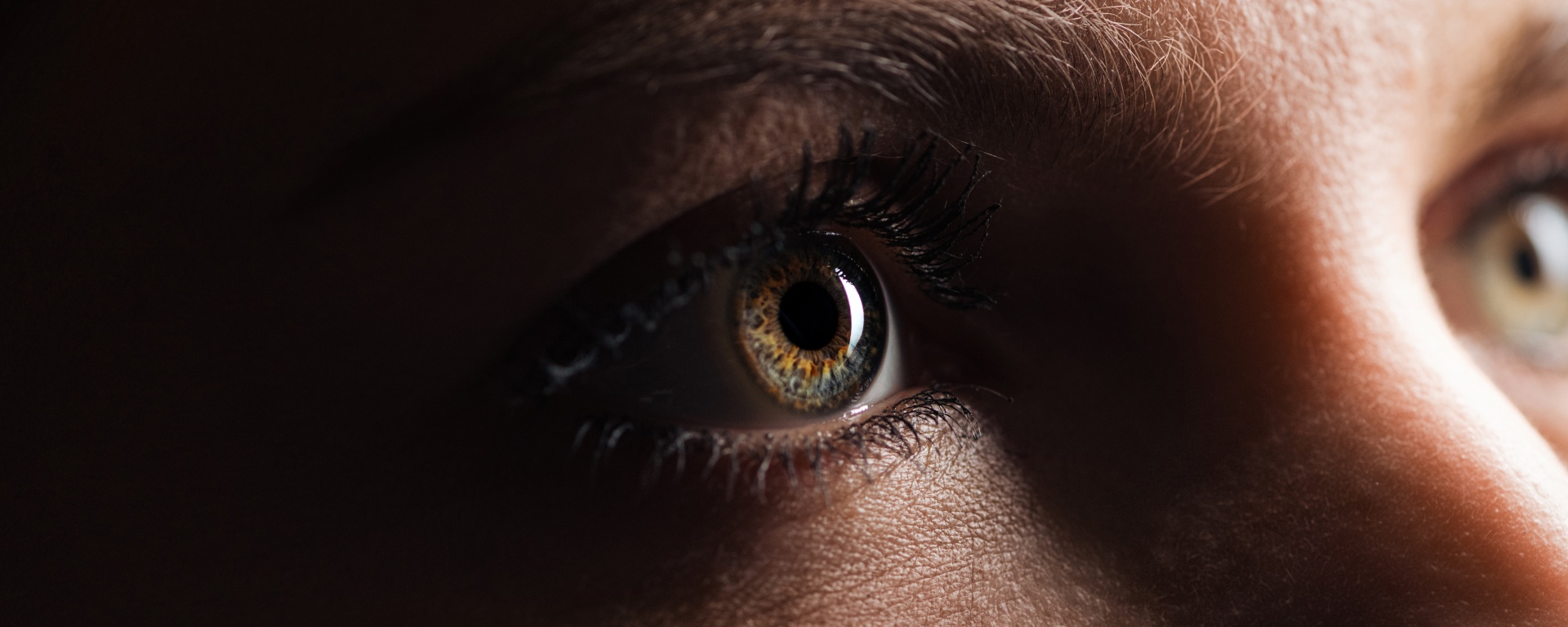 ENT & Eye Disorder Care in Los Angeles | Beverly Hills Regenerative Therapy